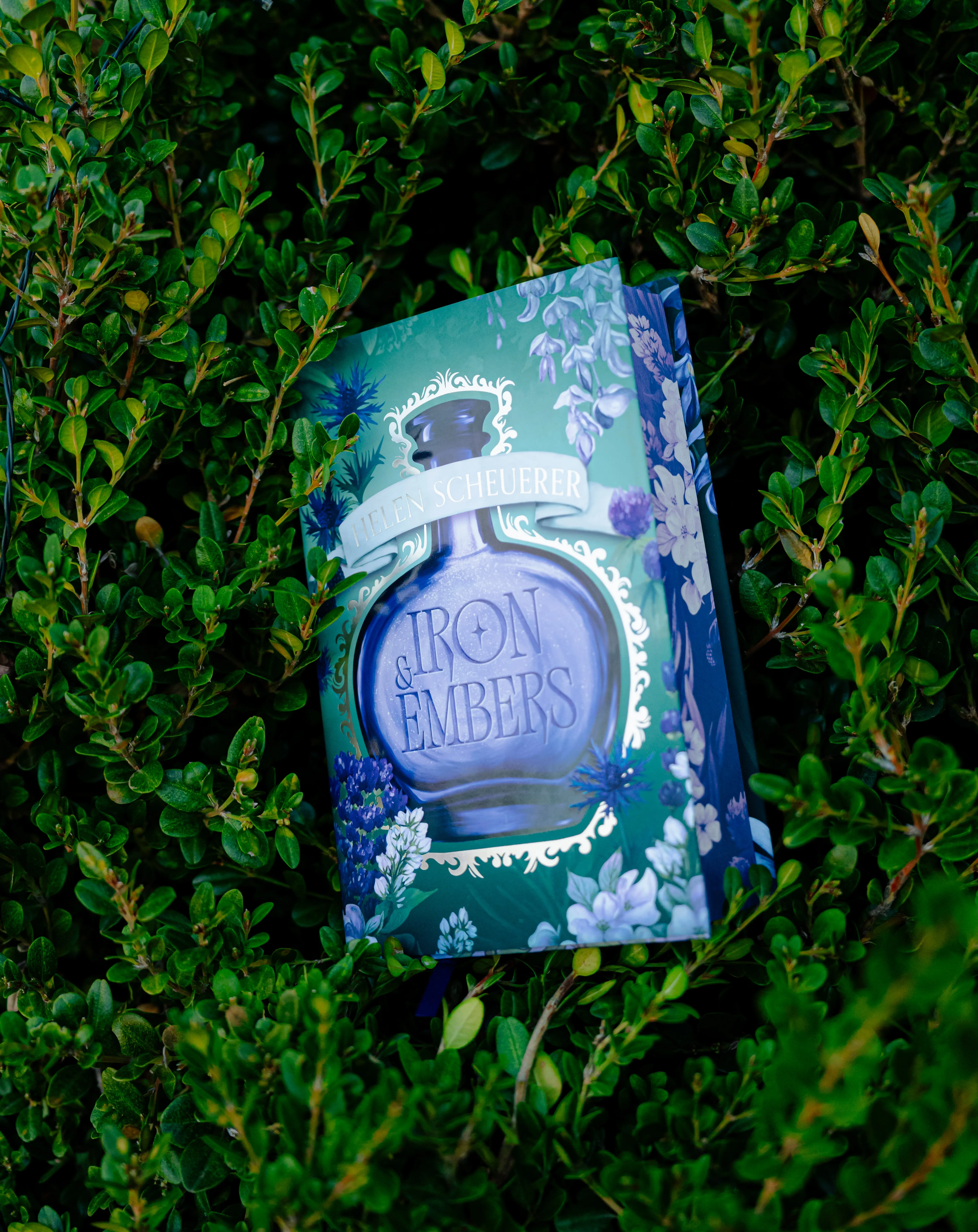 PAST BOXES: Romantasy Book-Only Subscription – FairyLoot US