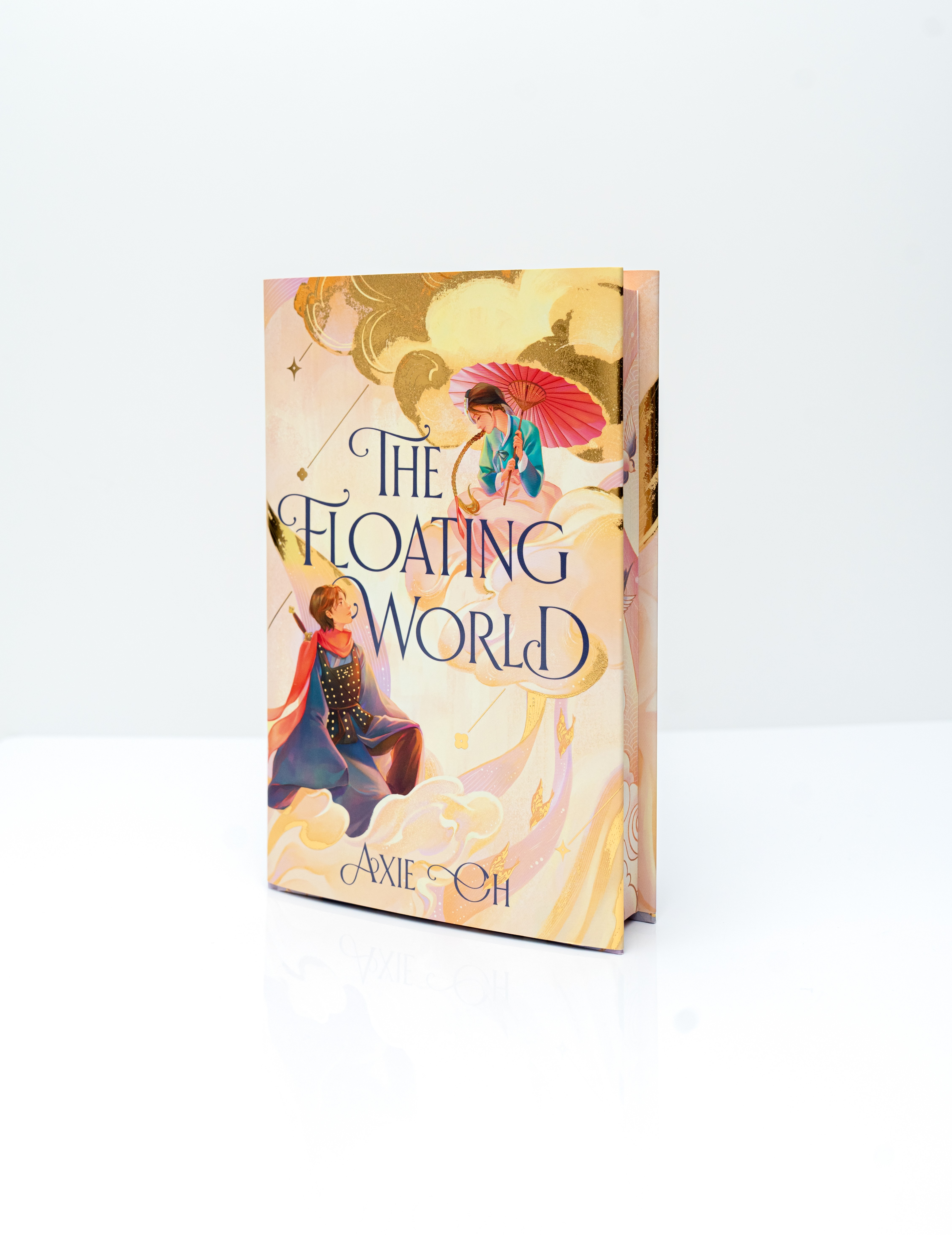 PAST BOXES: YA Book-Only Subscription – FairyLoot US